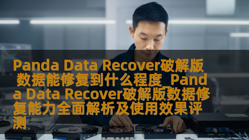 Panda Data Recover破解版 数据能修复到什么程度_Panda Data Recover破解版数据修复能力全面解析及使用效果评测 ...
