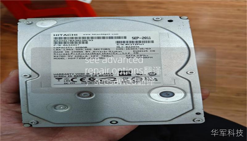 see advanced repair options翻译，seesawed翻译_恢复教程_恢复资讯_技王数据恢复-技王数据恢复中心